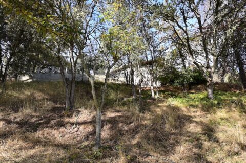 Defensible Space Programs | Lake County RCD: Safeguarding Communities ...